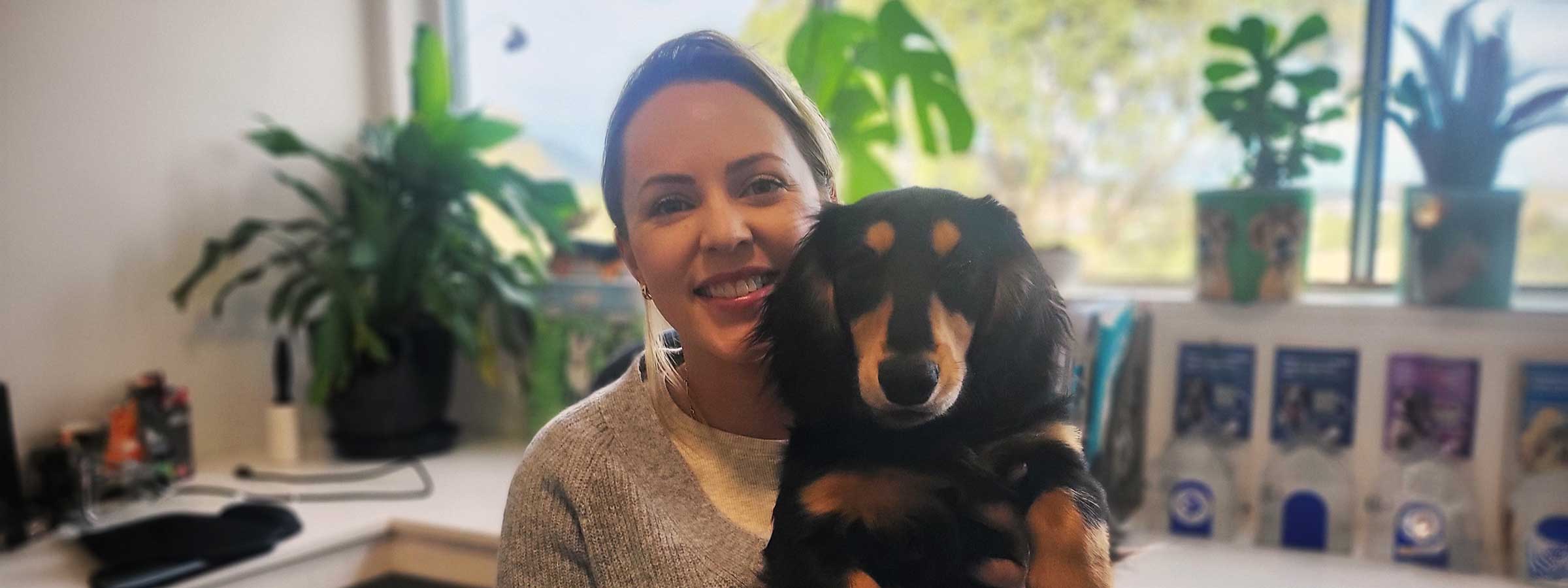 Peanut the office dog at Dogs’ Homes of Tasmania - Australia CAN